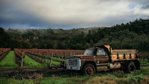 About | Rutherford Wine Company - Sustainable Wines from California